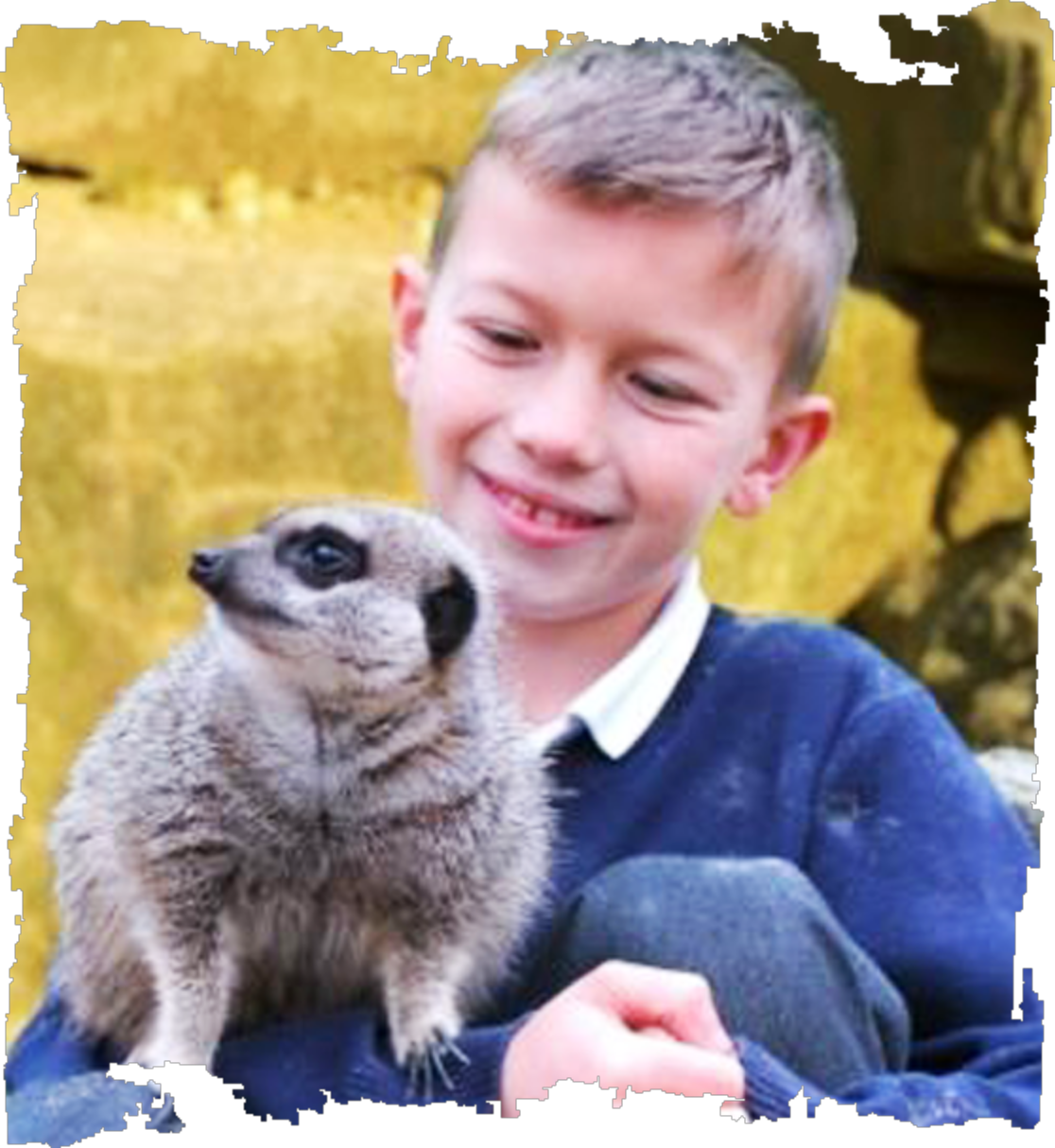 Index of /uploads/assets/uploads