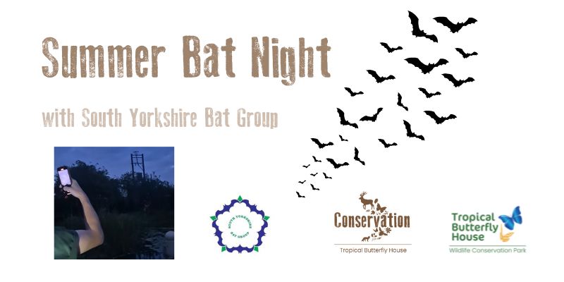 Bat Night Survey with the South Yorkshire Bat Group | Tropical ...